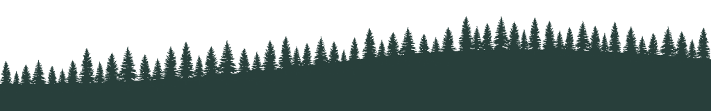 Claude Kieffer, Vente SAPINS DE NOEL à Niederschaeffolsheim