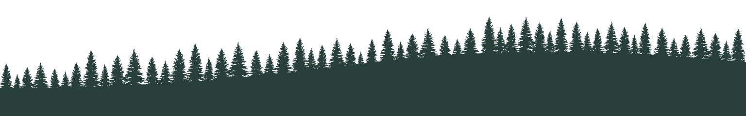 Claude Kieffer, Vente SAPINS DE NOEL à Niederschaeffolsheim